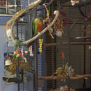 Plastic Birdie Keys 24 Pack Crafting Parrot Toys and Bird Toy Parts by ...