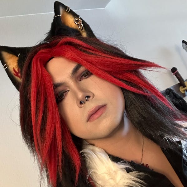 Made to Order Sonic & Shadow Ears – Cosplay Headband Inspired by Sonic ...