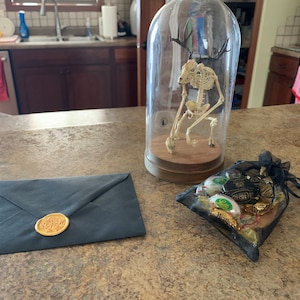 Sphinx Skeleton Curiosity Cabinet - Etsy