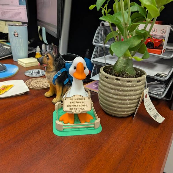 Emotional Support Goose Desk Buddy | Magnetic Goose With Custom Wooden Sign on Grass Base ...