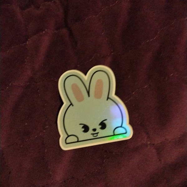 Stray Kids SKZOO Cute Chibi Stickers • 2-inch Kpop Stickers • Water ...