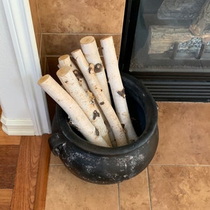 Birch Bundle of Logs 10 Free Shipping - Etsy