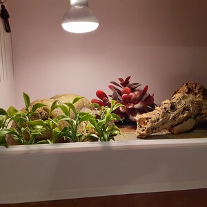 Plastic Moss Pads: Artificial Aquarium Plants Reptile | Etsy