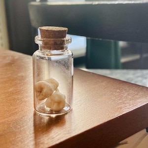 One Real Human Tooth Pendant Necklace - Etsy