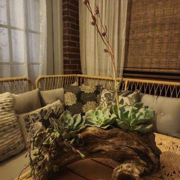 Tall Skinny Concrete Tree Stump Planter - Etsy