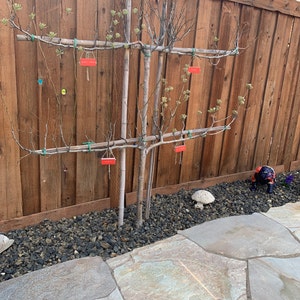 Tree Markers 3 1/2 X 1 1/2 X 3/4 Garden Fruit Tree Sign Nursery Stock ...