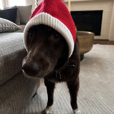 Red Christmas Knitted Hat / Beanie for Cat or Dog, Small and Large ...
