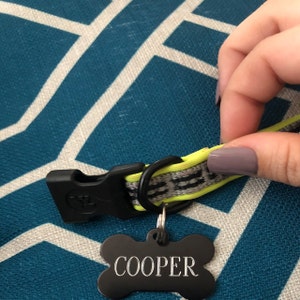 PET SUPPLIES Quality Custom Engraved Dog Tag Pet ID With Free | Etsy