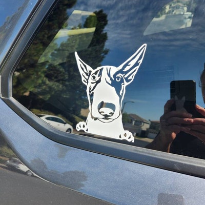 Pet Welcome Sign/ Pet Door Sign/ Dog Door Sign/pet Portrait Wreath/ Dog ...