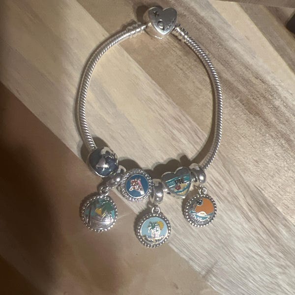 Pandora Belize Bird Dangle Charm 925 Jewelry Women Jewelry Travel ...