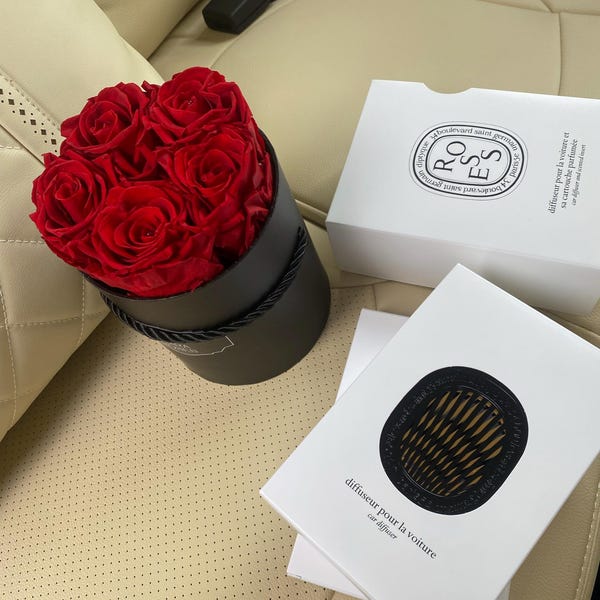 Preserved Real Roses That Stay Fresh for Years, 10 Preserved Roses in ...