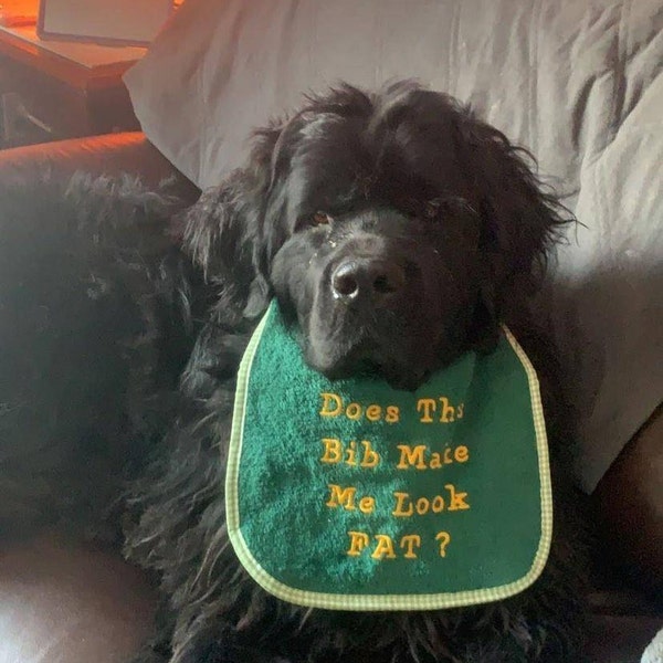 Dog Bib, Big Dog Bibs, Newfoundlander Drool Bibs, Dog Slobber Bib, Dog ...