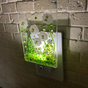 Bachelor Button,night Light, Wildflower, Fused Glass, Safety, Bird, - Etsy