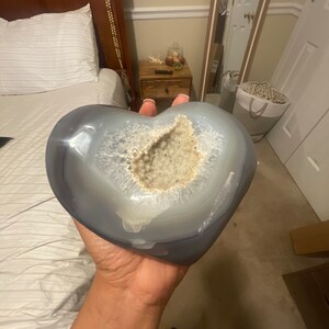 Mosasaurus Water Dinosaur Tooth AUTHENTIC Fossilized - Etsy