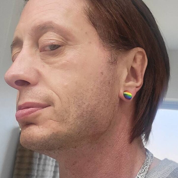 Tigers Eye Earrings in Flat Coin Shape, Studs for Men or Women, Brown ...