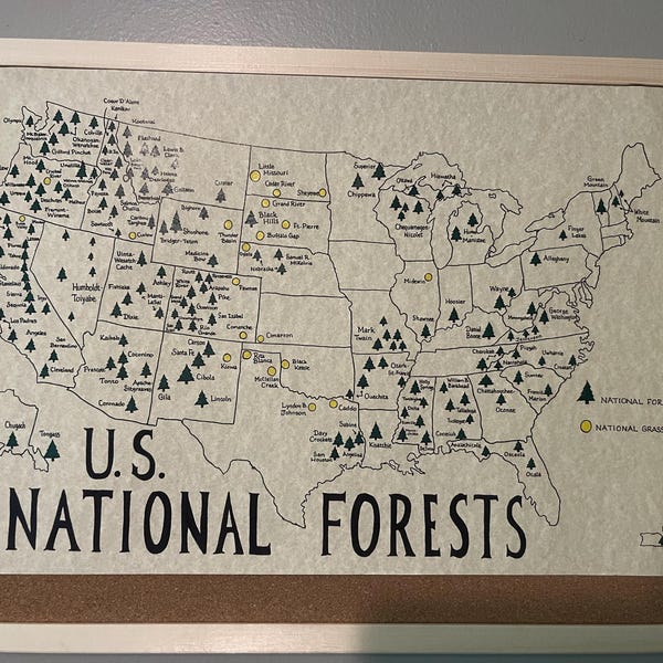 U.S. National Forests Map - Etsy