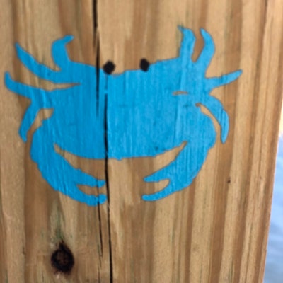 Conch Shell Mylar Stencil, Paper Stencil, Fabrick Stencil, Sea Shell ...