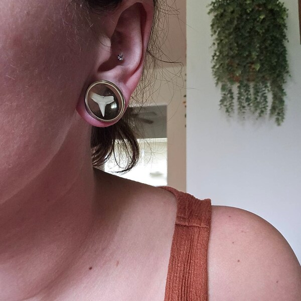 Onyx Stone * Gauges * Tunnels * Plugs - Etsy