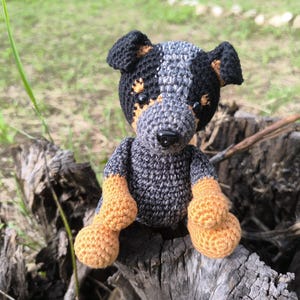 Aussie Puppies Crochet Pattern, Australian Shepherd, Black Tri, Red Tri ...