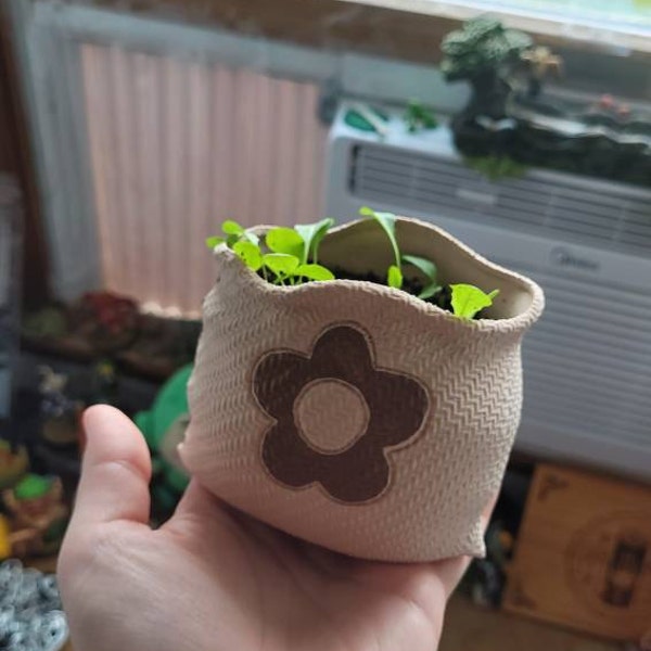 D20 Planter | Dnd Dice | 3D Printed | Hand-painted | Houseplants Pots ...