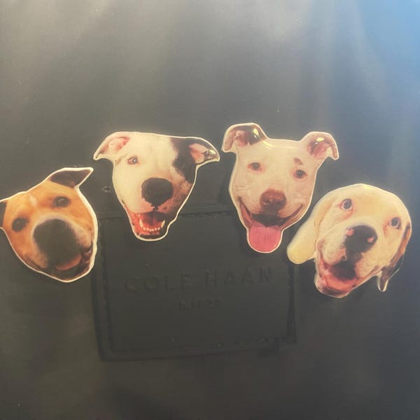 Custom Lapel Pins /acrylic Brooch / Custom Pin Art / Personalised Gift ...