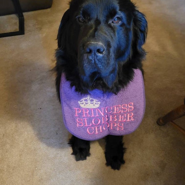 Big Dog Slobber Bibs Assorted Designs - Etsy