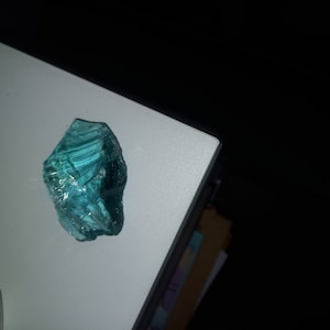 Nautilus Shell Rare Deep Sea Shell Specimen - Etsy