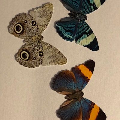 Small Realistic Paper Butterflies, 1 Inch Printed Paper Butterflies Mix ...
