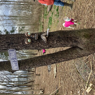 Game Warden Sign, Park Ranger Street Sign, Office Decor, Retirement ...