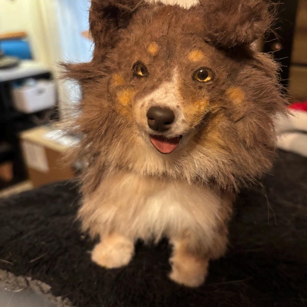 Custom Poodle Toy Plush - Handmade Realistic Dog Replica, Personalized ...