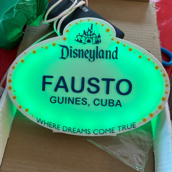 Custom Large 3D Printed Disney Cast Member Name Tag Decoration - Etsy