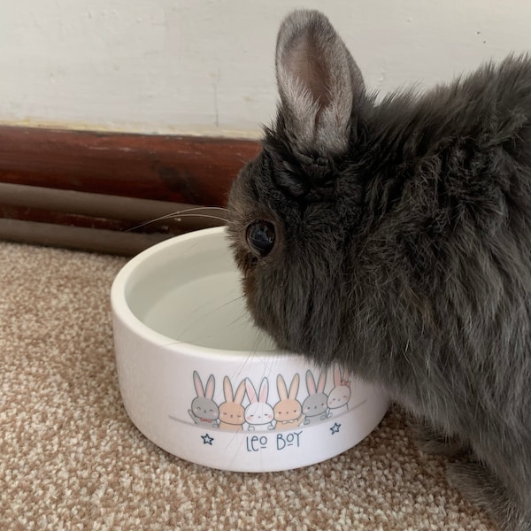 Personalised Ceramic Rabbit Bowl | Small Animal Pet Dish - Etsy
