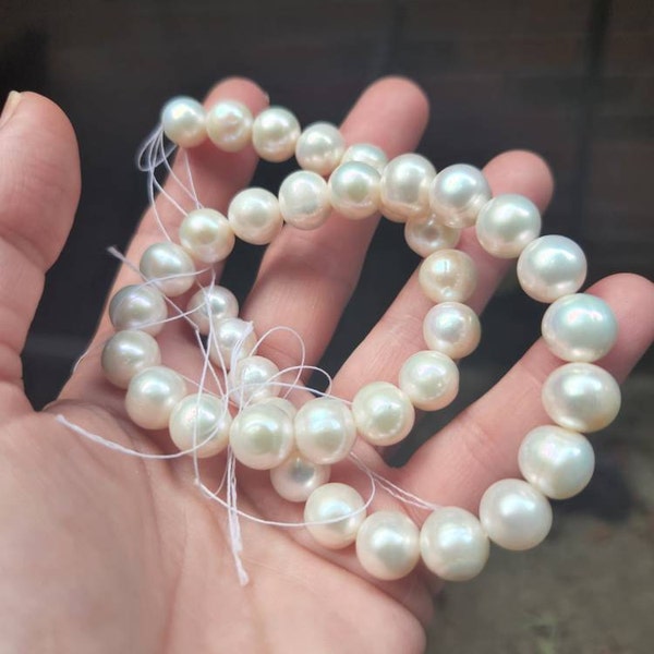 11-12mm A-AA Large Round Freshwater Pearls off Round Potato Pearl Ivory ...