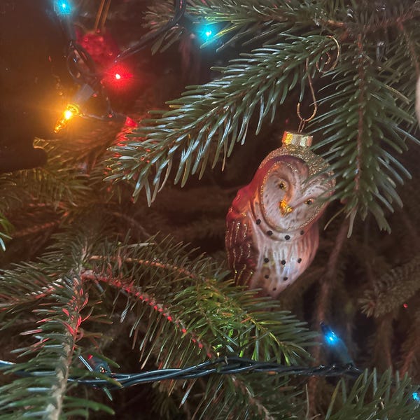 Vampires Hand Crafted Wall Art Reclaimed Wood Wall Plaques Vampire ...