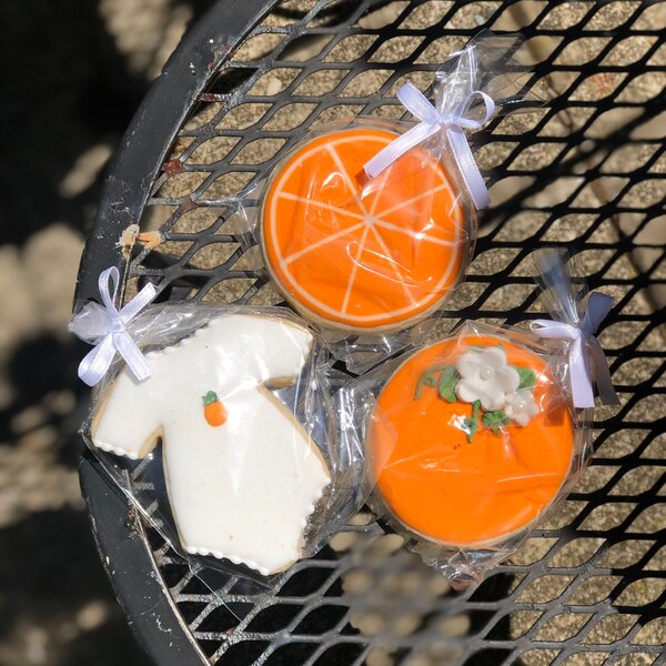 Orange Cookies, Citrus Cookies, Birthday Cookies, Theme Cookies ...