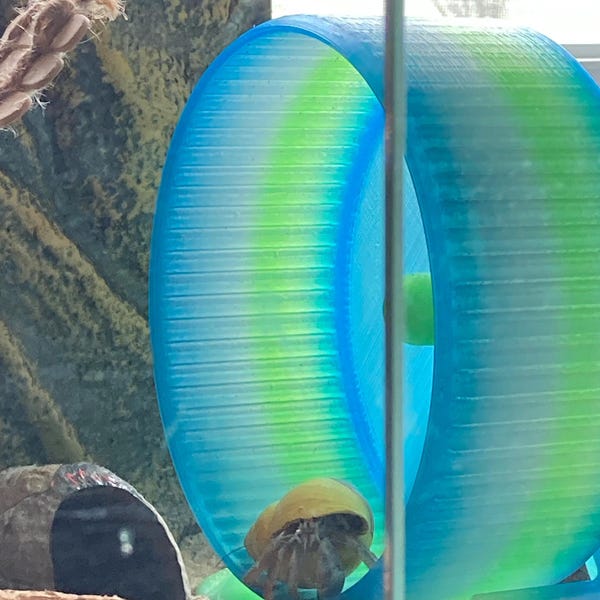 The Original 3D Printed Hermit Crab Wheel: Merry-go-round, 3-8 Inch - Etsy