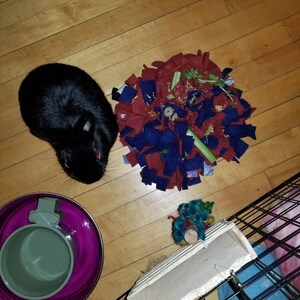 Seagrass EnrichMat™ Snuffle Mat Foraging & Enrichment Mat | Etsy