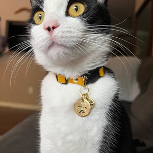 Cat Tag Cat ID Tag Small Pet Tag Cat Name Tag Microchipped - Etsy