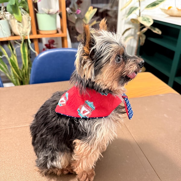 Liverpool FC Iconic Club Crest Print, Pet Bandana for Dog or Cat ...