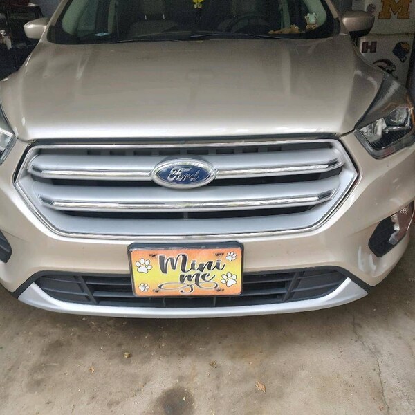 Personalized Leopard Cheetah Glitter Car Tag Vine Monogrammed License ...