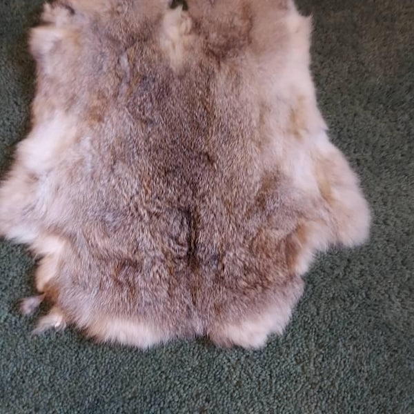 Brown Rabbit Hide - One Jumbo - Natural Rabbit Fur - Lot No. 230125-I ...