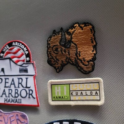 Raise Hell Kid Embroidered Iron-on Patch for Clothing, Hats and Bags Southern Outlaw Country ...