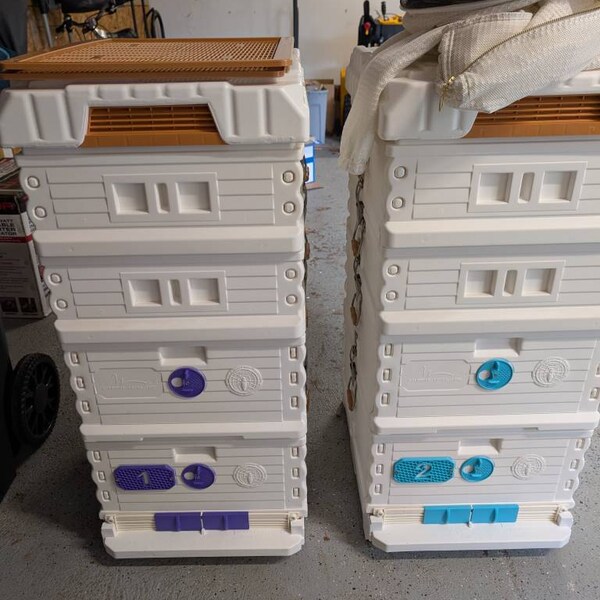 Monarch Butterfly Raising Kit- Butterfly Raising Kit, Milkweed Floral ...