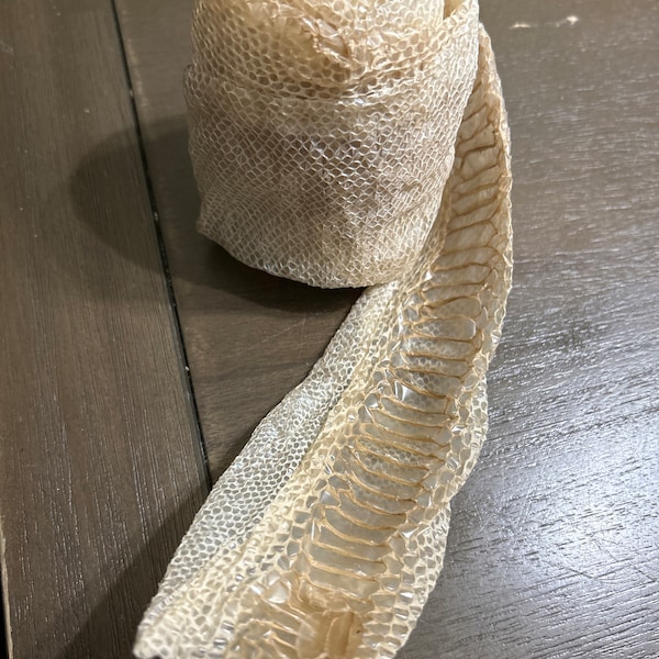 Snake Skin Shed Boa Constrictor - Etsy