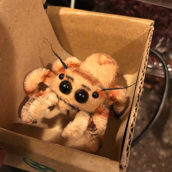 Needle Felted Jumping Spider Toy, Poseable Arachnida Sculpture - Etsy