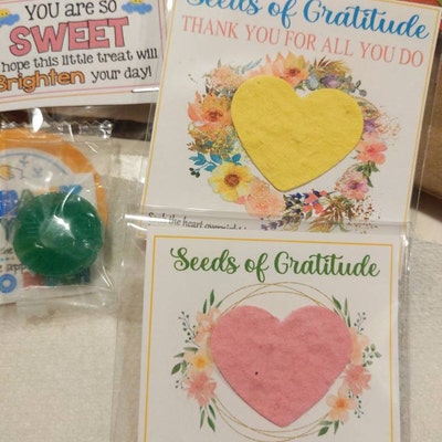 MONEY TREE SEEDS Funny Gag Gift Bags Silly Prank Goody - Etsy