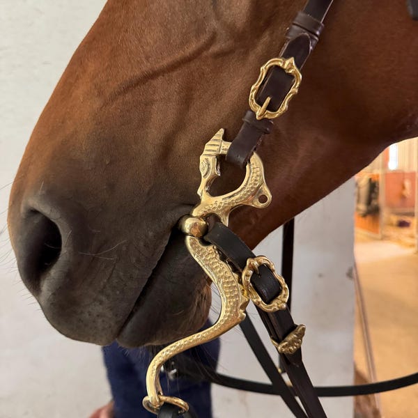 Fancy Horse Bridle Unique Style With Reins Pure Leather and Brass ...