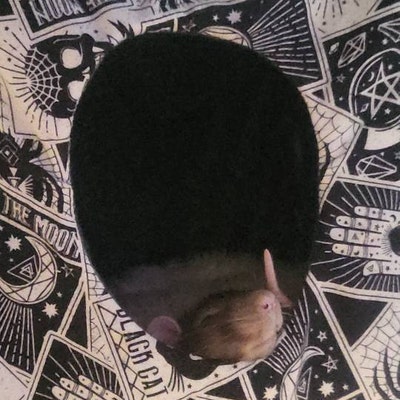 Mismatched Rat Cube Hammock UGLY DUCKLING Random rat Bed - Etsy