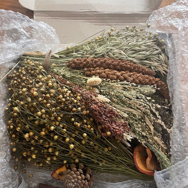 100 G Organic Flax Spray - Etsy