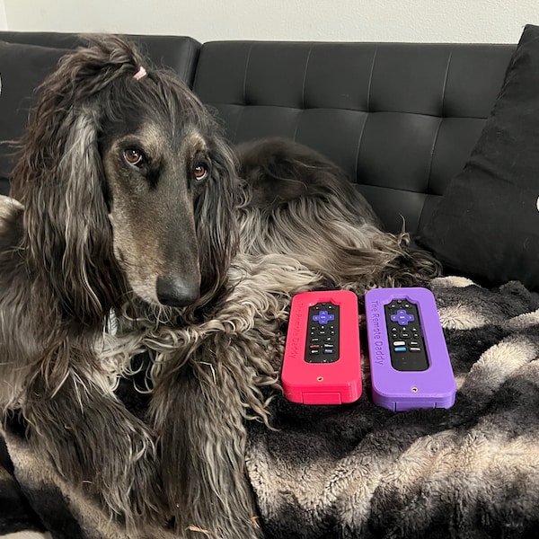 The Remote Daddy - A Remote Housing for Roku & Fire Stick Remotes: It ...